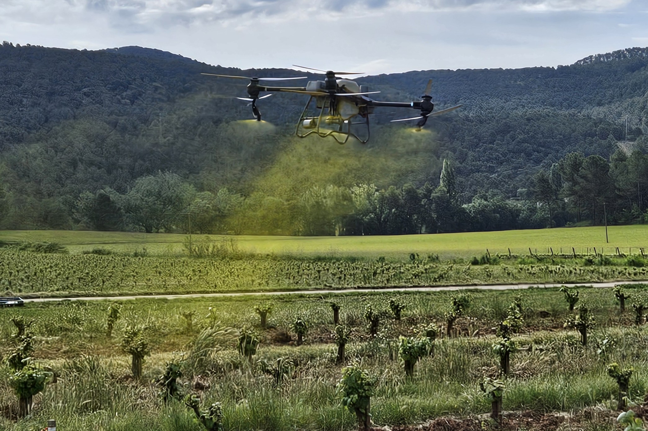 Research with drones for more sustainable viticulture | Agrotecnio