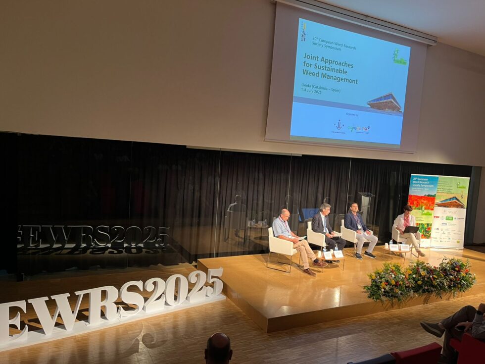 Lleida becomes the epicentre of sustainable weed control threatening crops | Agrotecnio